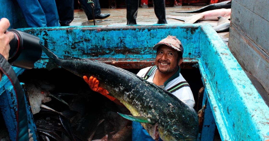 Success Stories of the Common Vision: WWF and Hilton Worldwide ...